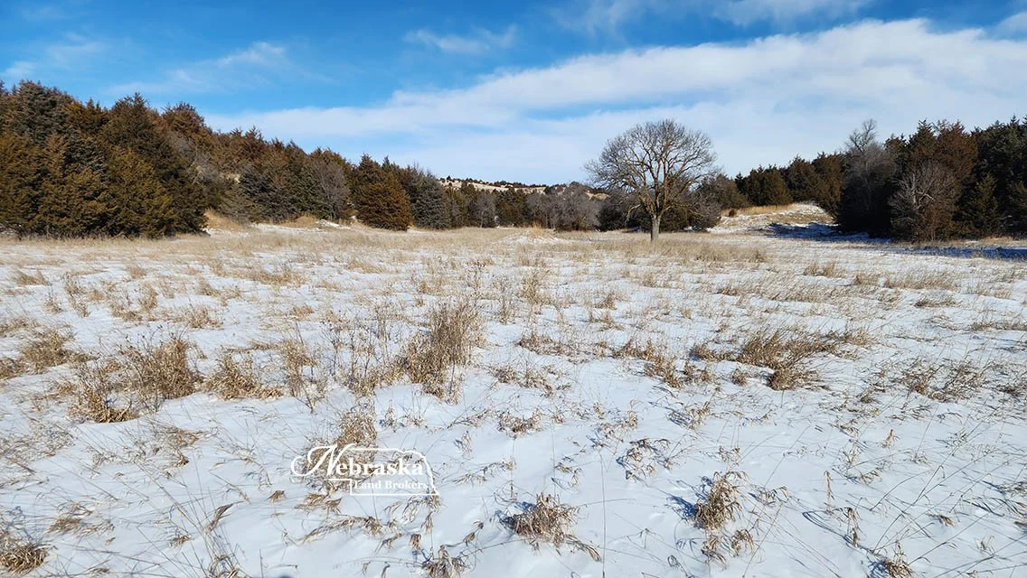 Jeffrey Road Pasture, Loess Canyons Lincoln Co -- SOLD & CLOSED 3.28.24 ...