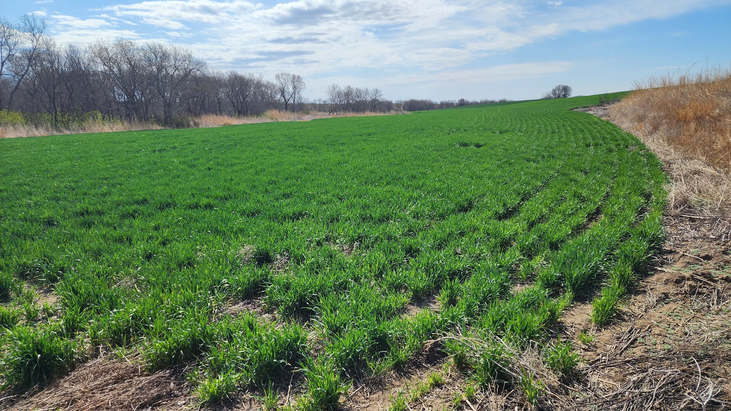 Properties — Nebraska Land Brokers