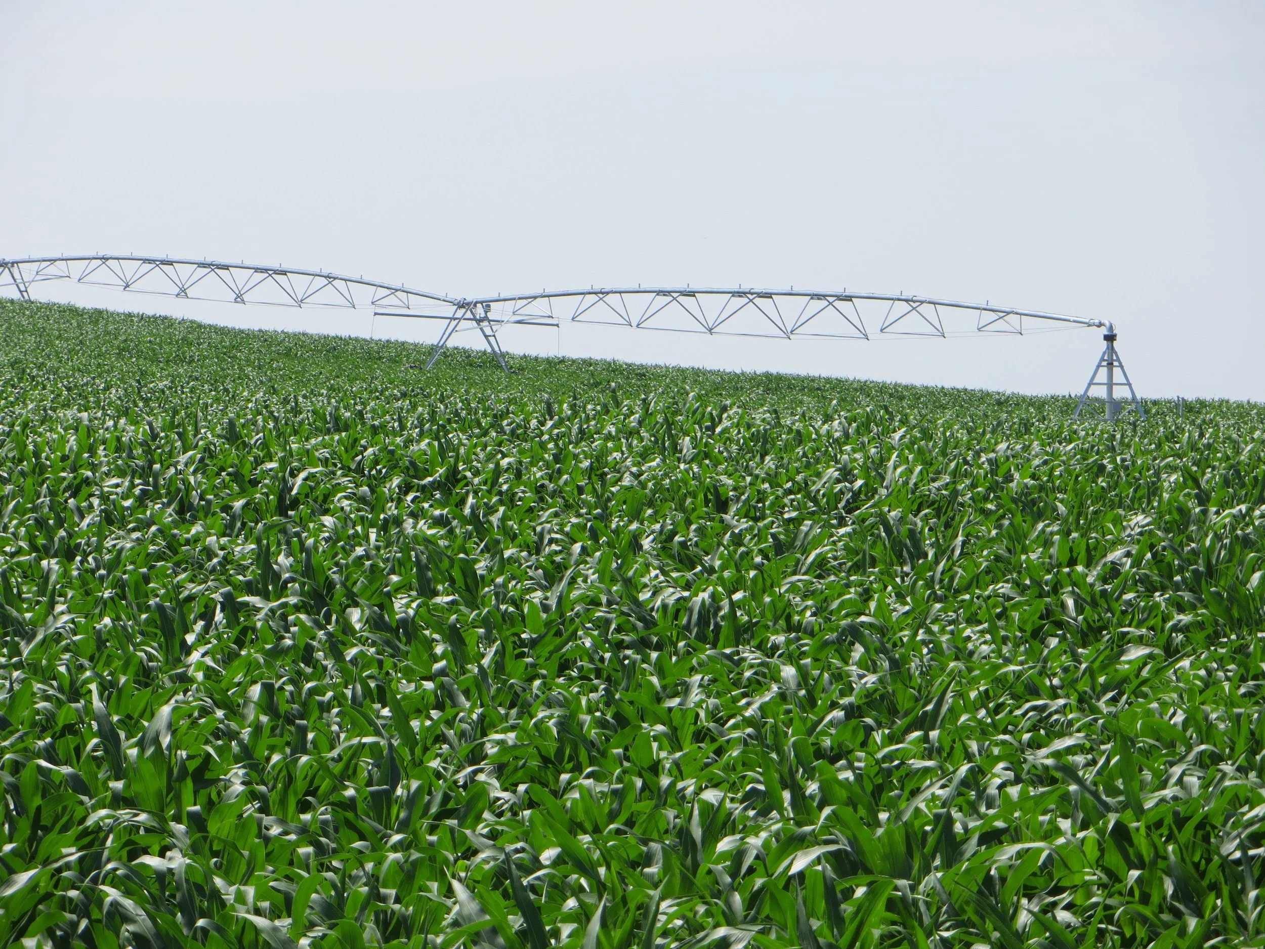 Properties — Nebraska Land Brokers