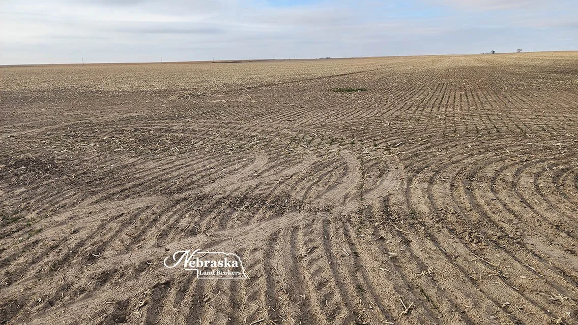 Southern Keith County Non-Irrigated Farm -- SOLD & CLOSED 3.28.25 ...