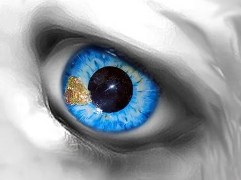 Gallery — Keith Frederick