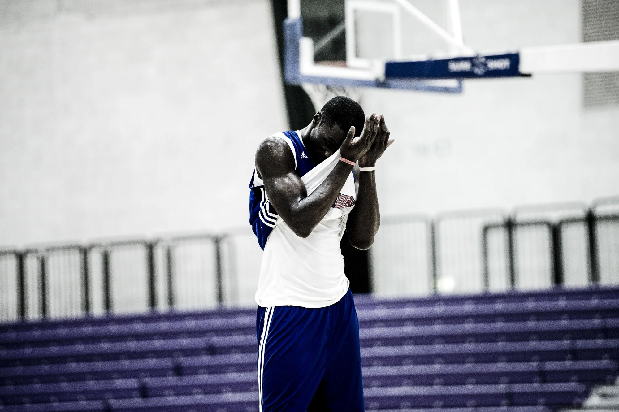 COLLECTIONS — George Powell