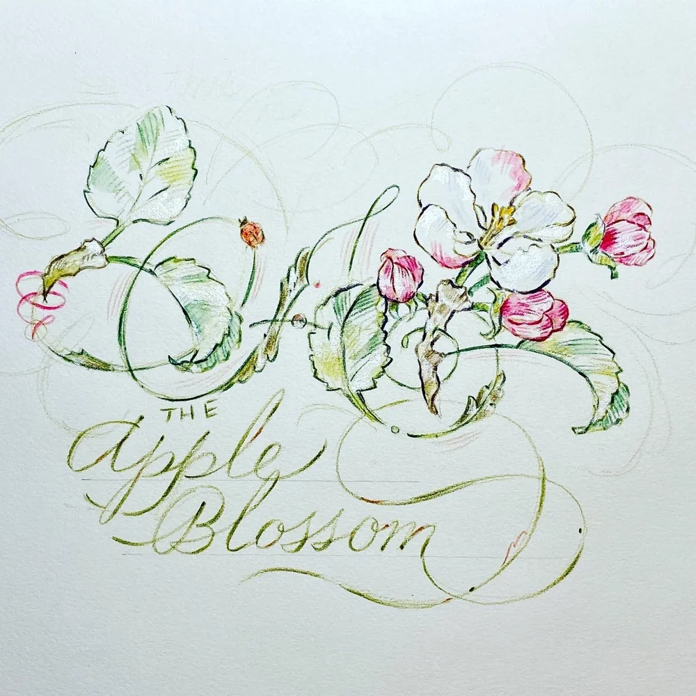 In-Person Calligraphy Classes — Anne-Davnes Elser
