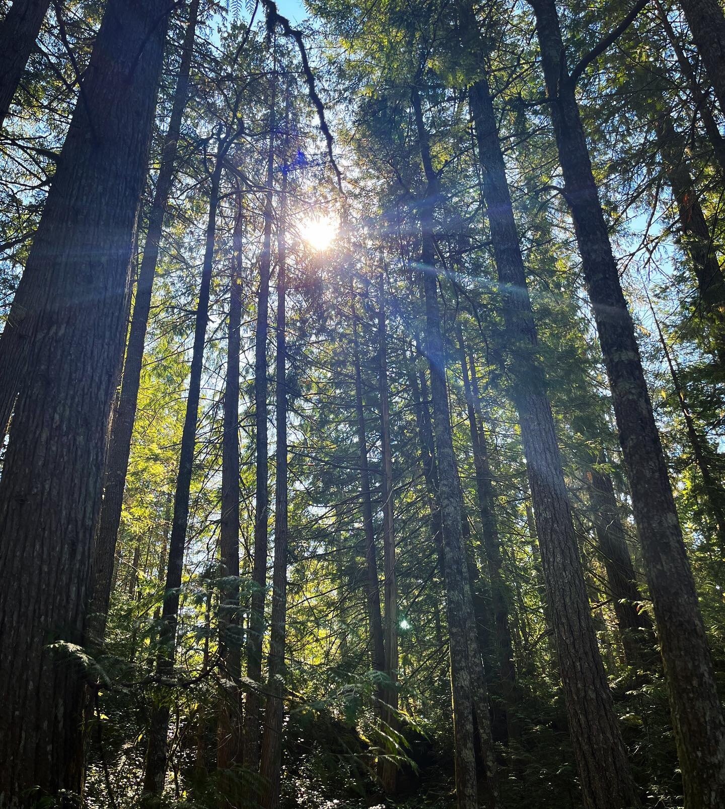 Hawthorn Landscape Design - Squamish Landscaping, Gardening and Lawn ...