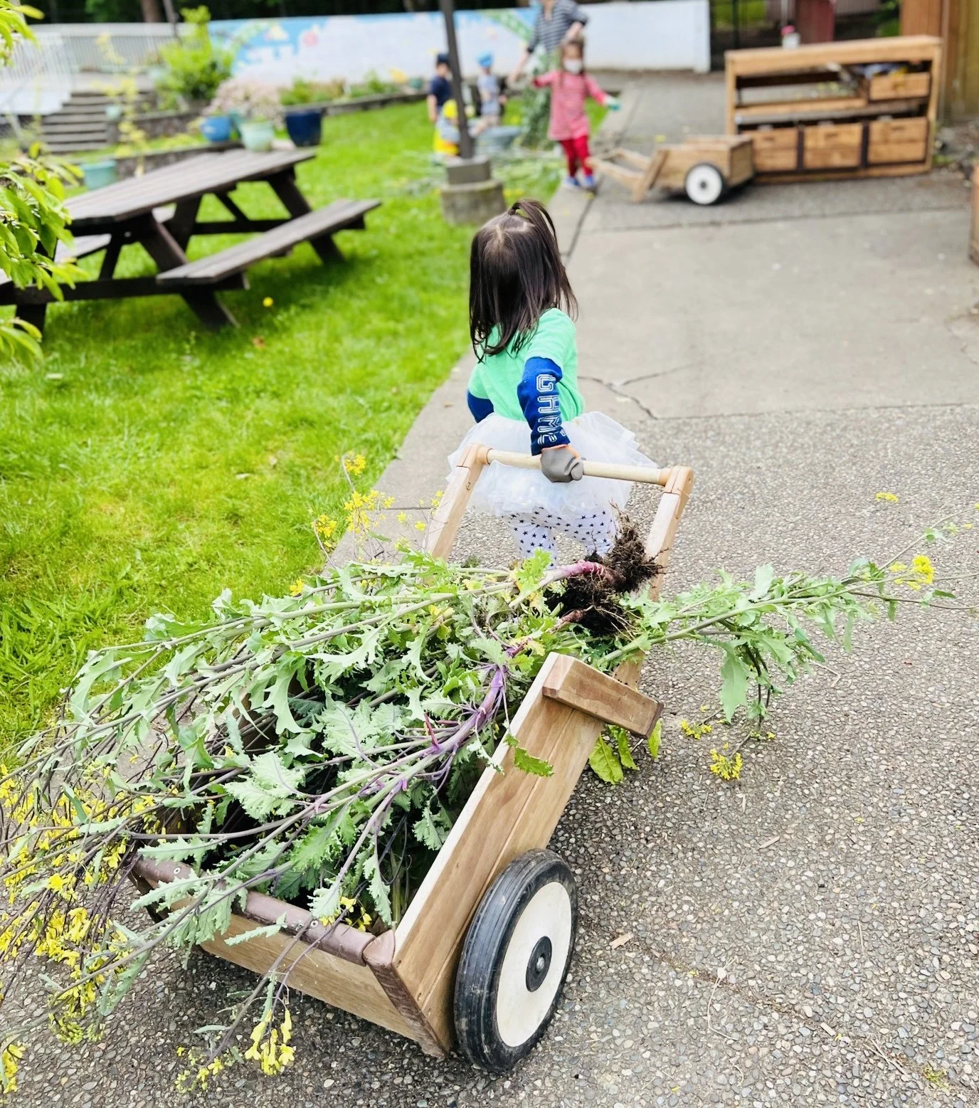 International Friends School Bellevue