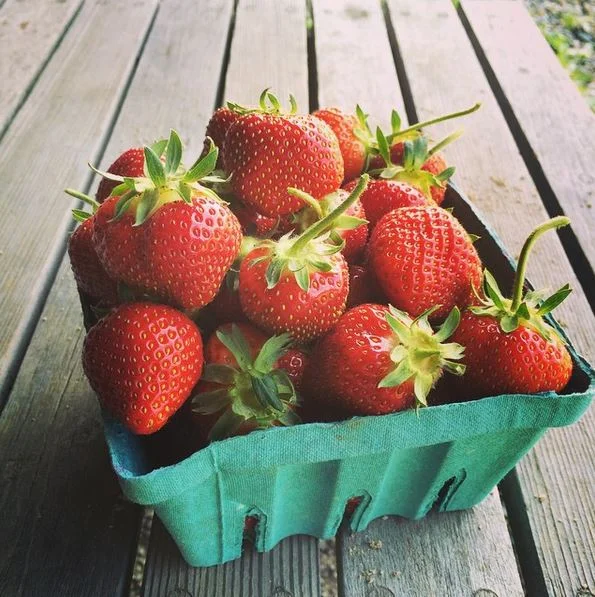 On-Farm Distribution — Brookfield Farm