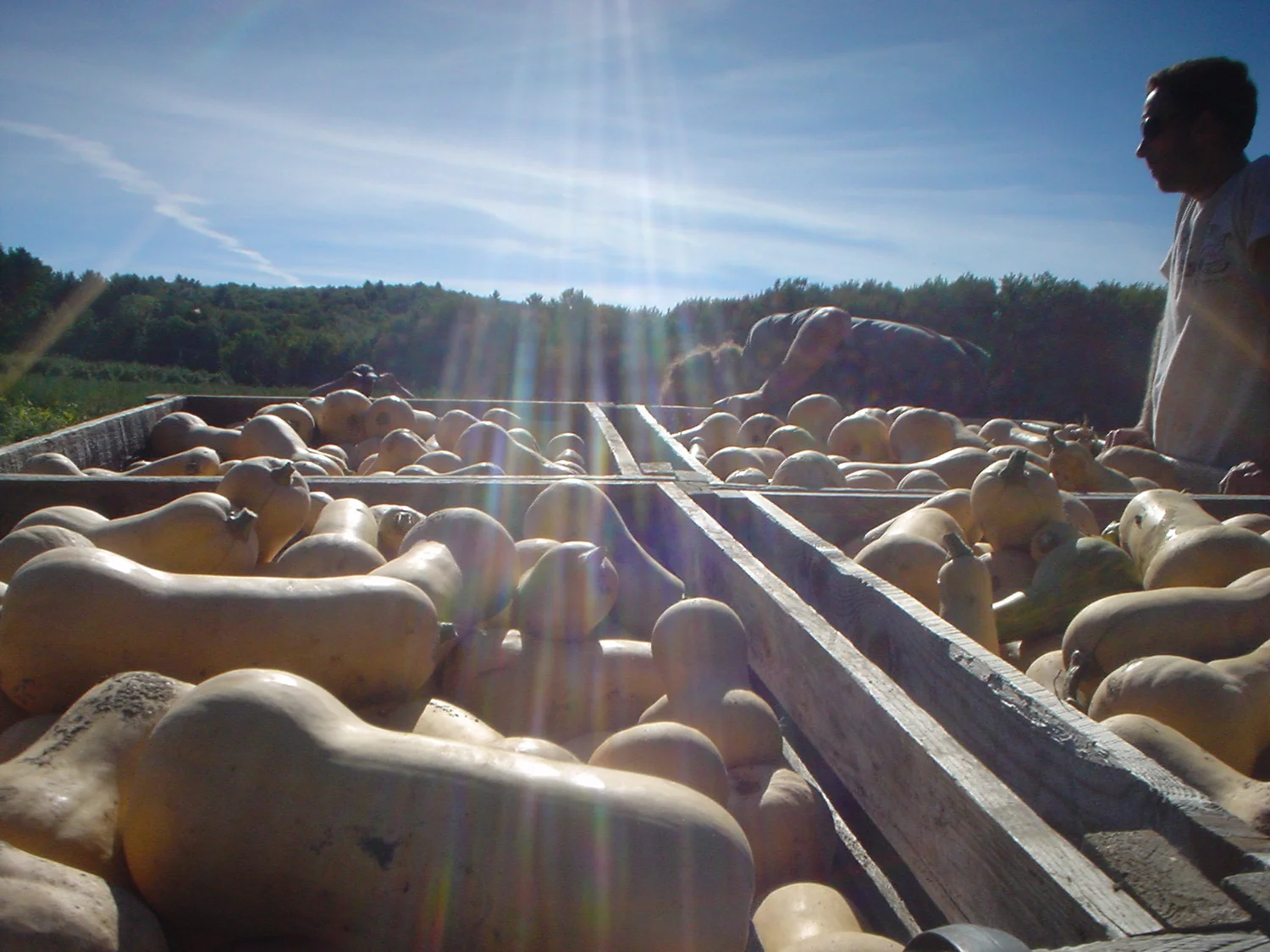 On-Farm Distribution — Brookfield Farm