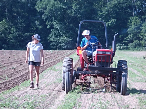 Apprenticeship — Brookfield Farm