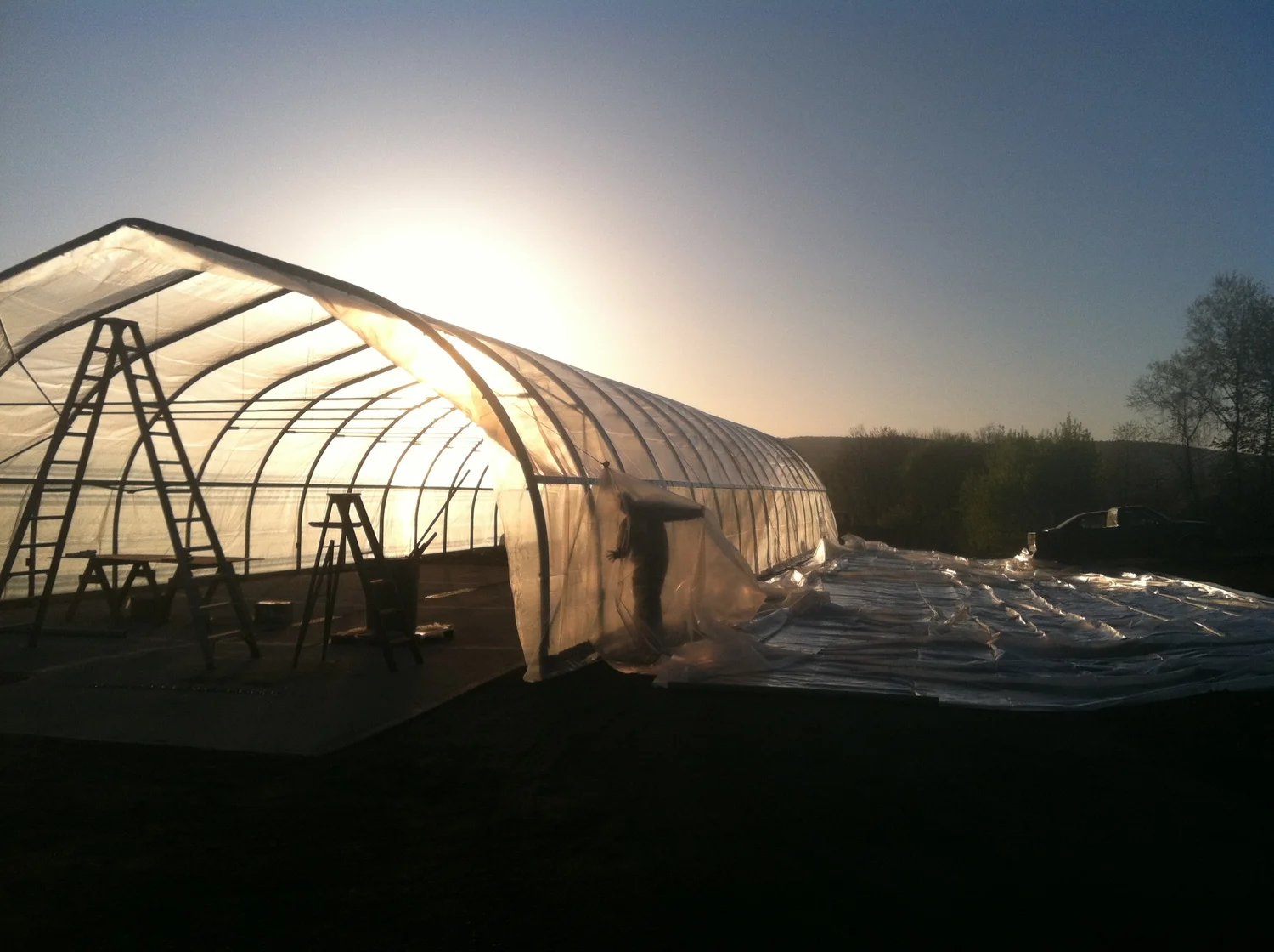 About the Farm — Brookfield Farm