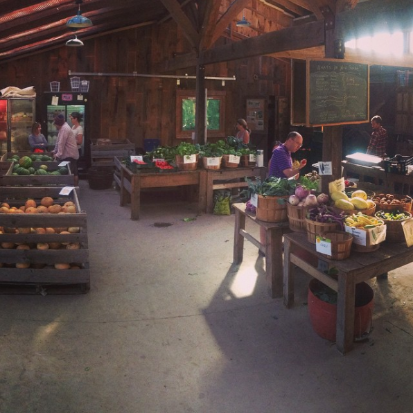 Brookfield Farm
