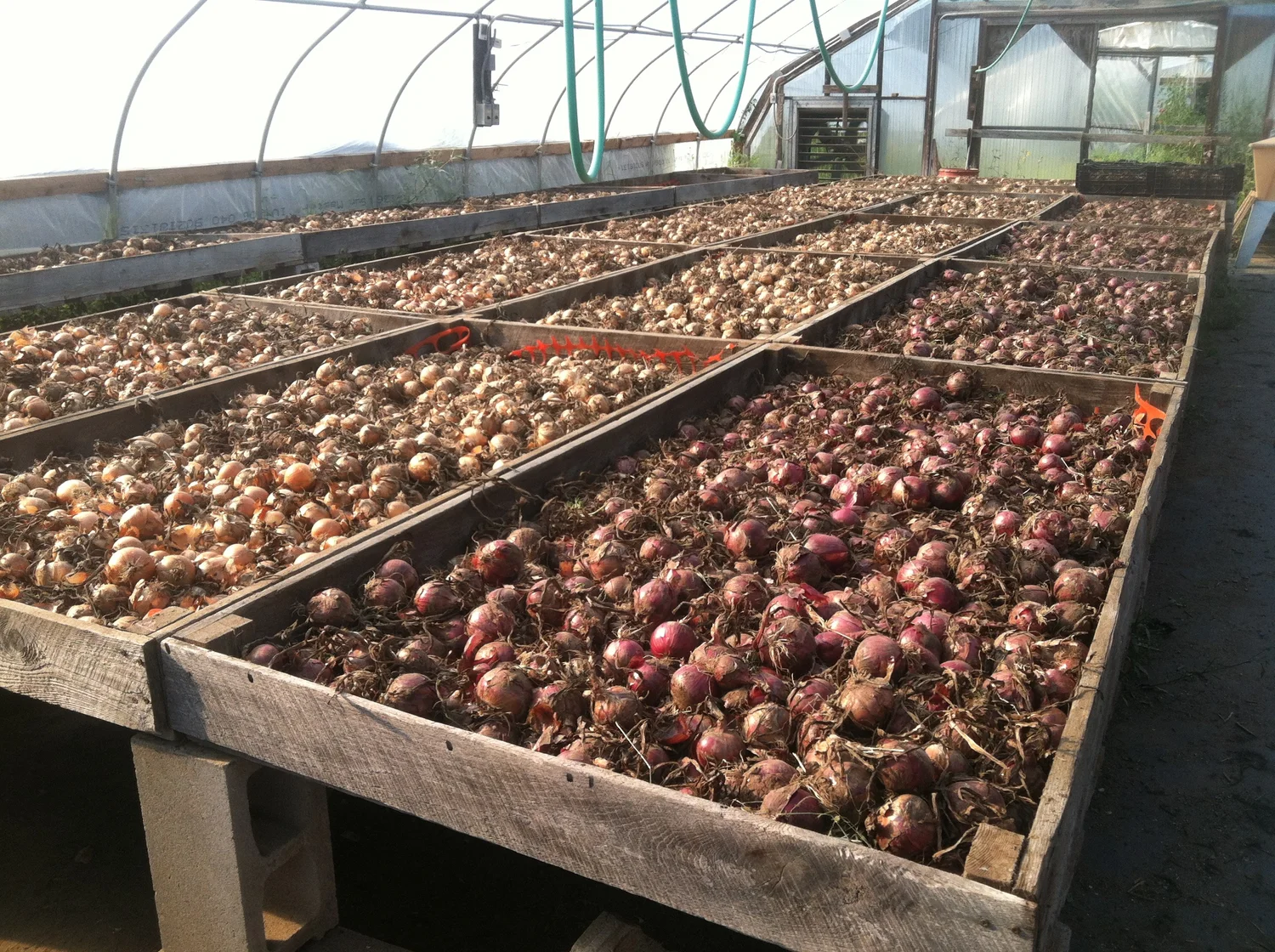 About the Farm — Brookfield Farm