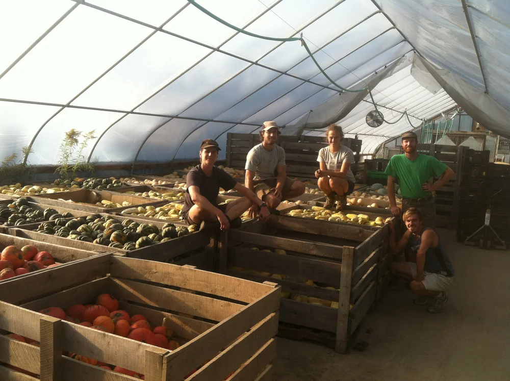 About the Farm — Brookfield Farm