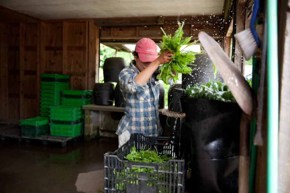 Farm Season Slideshow — Brookfield Farm