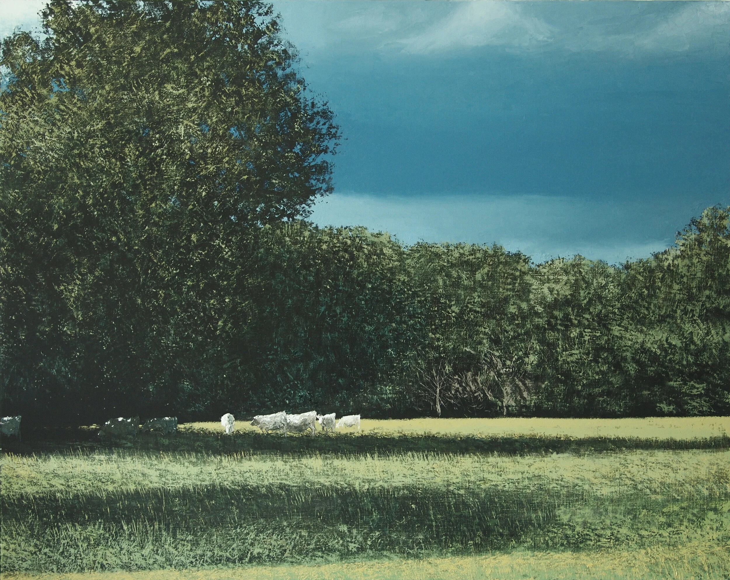 BENOÎT TRIMBORN — M Fine Arts Galerie