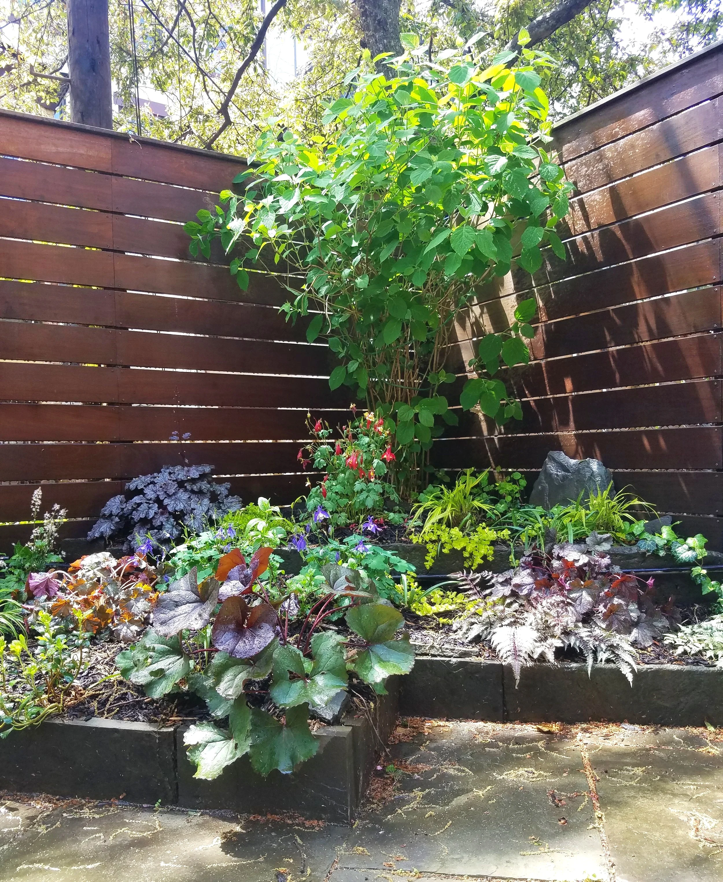 Landscape Staging — Rising Gardens
