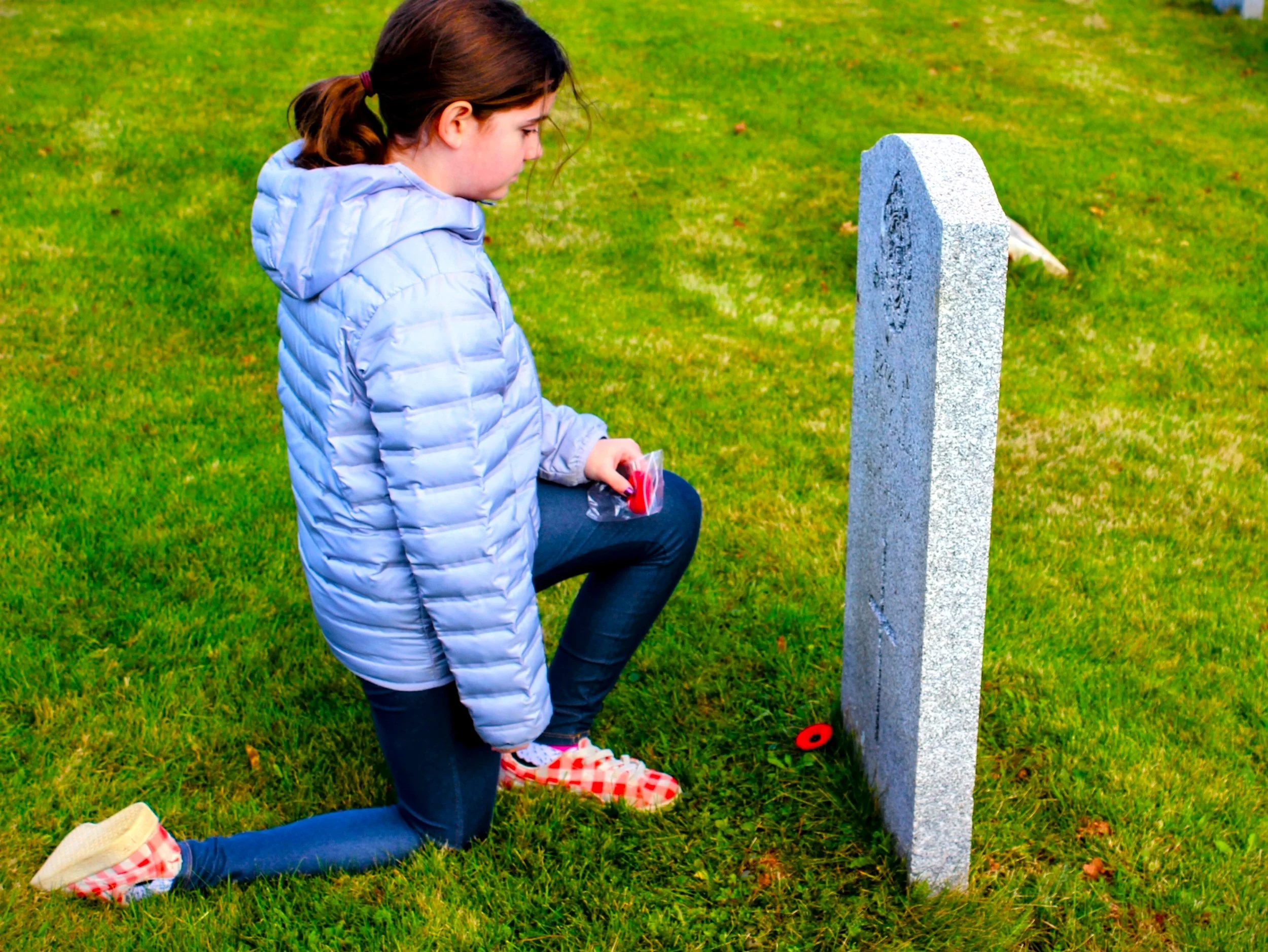 No Stone Left Alone Program — No Stone Left Alone