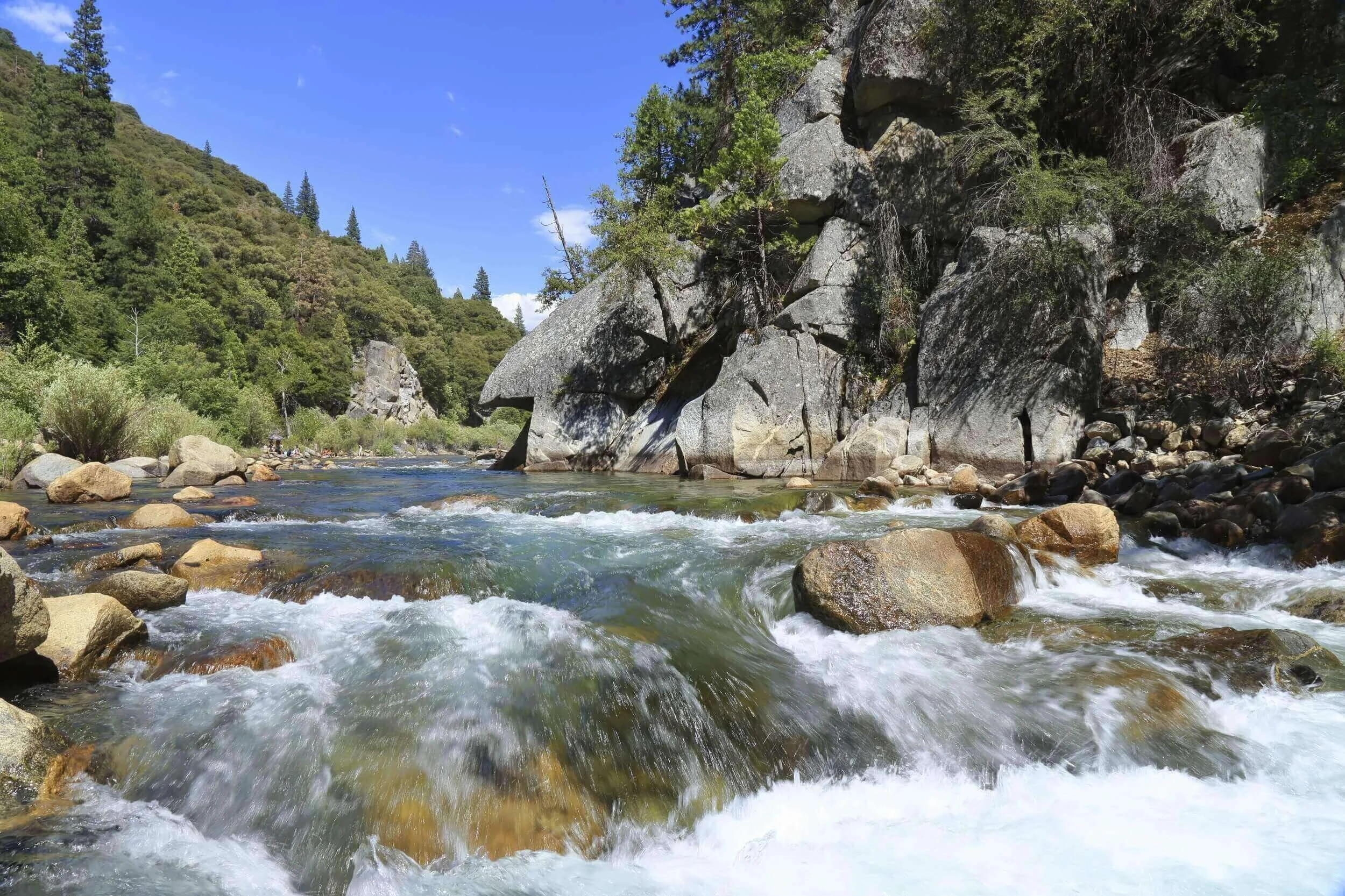 Harding Dental Group