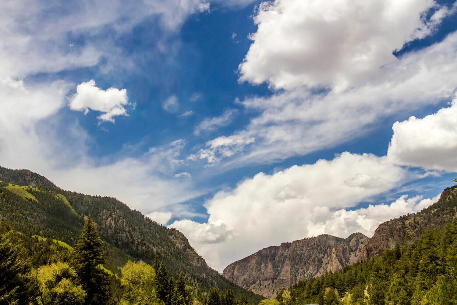 Harding Dental Group