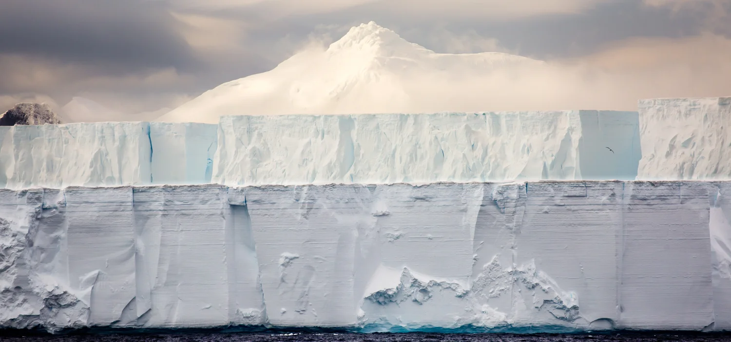 Michael Baynes Photography