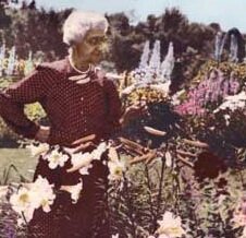 History — Dailey Memorial Library