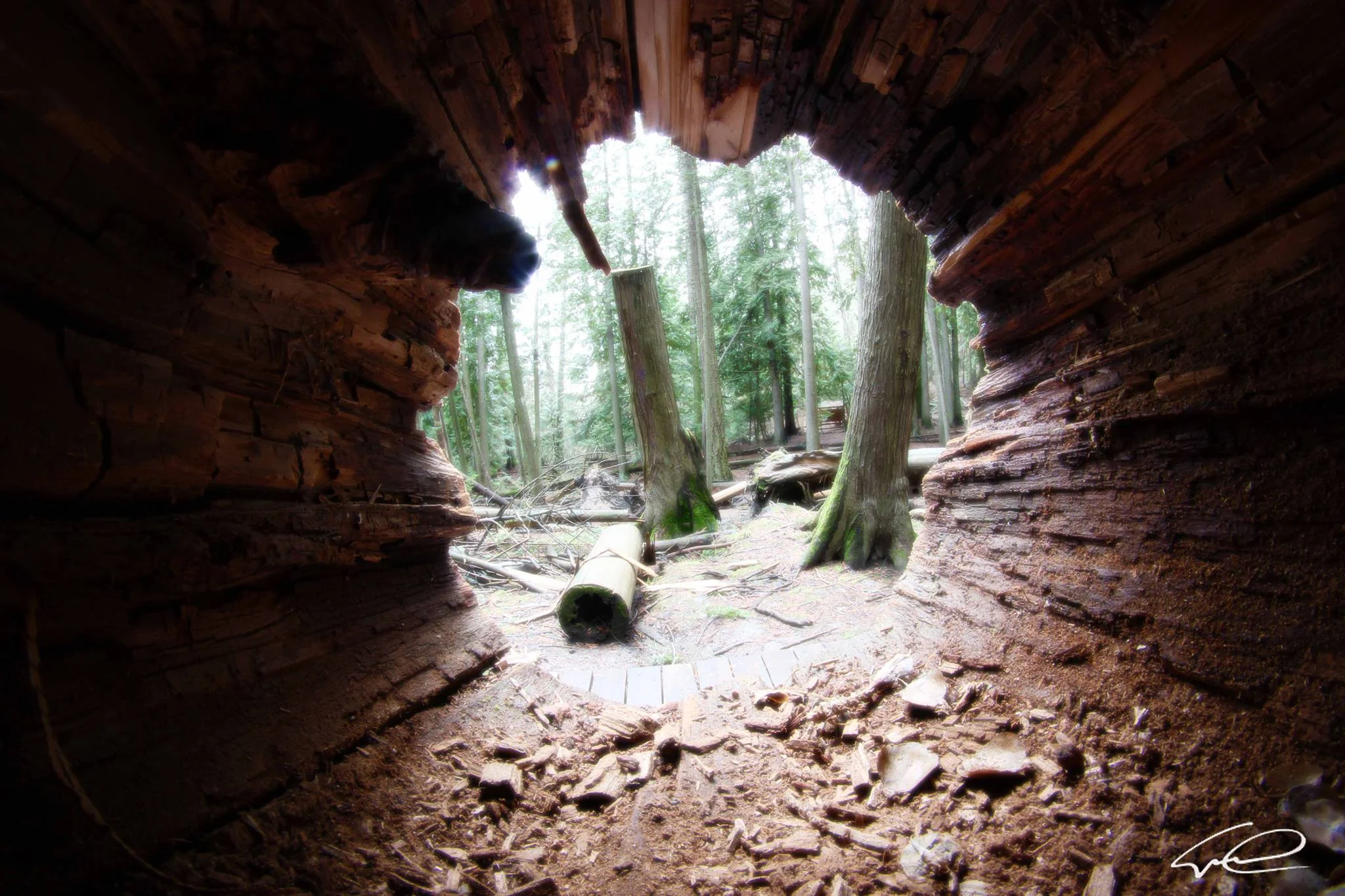 Idler's Rest Nature Preserve — Palouse Land Trust