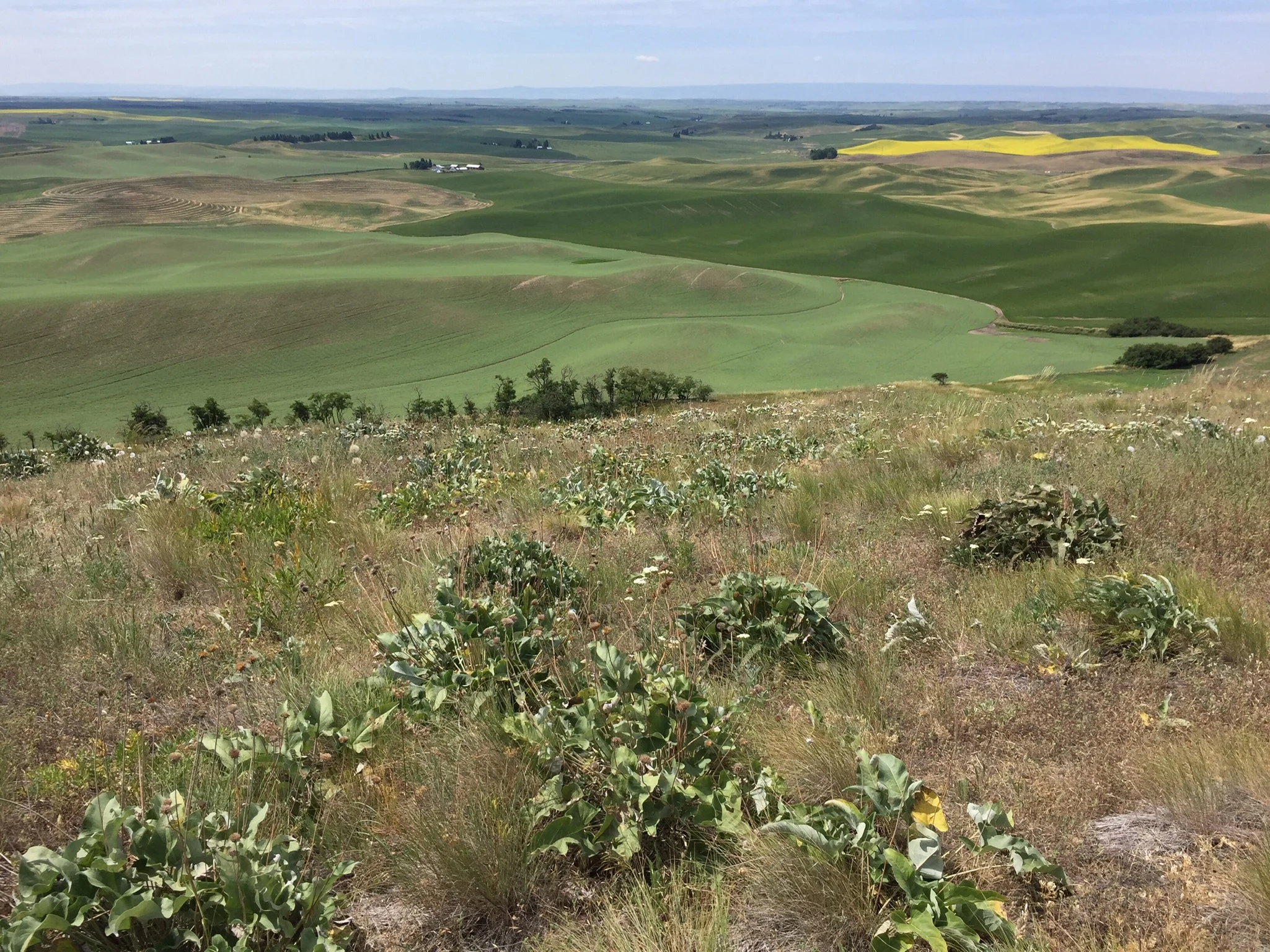 Annual monitoring — Palouse Land Trust