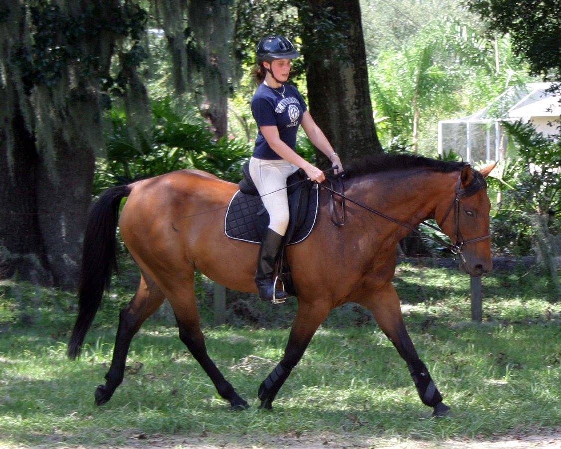 Meet Karrie — Karrie Porter