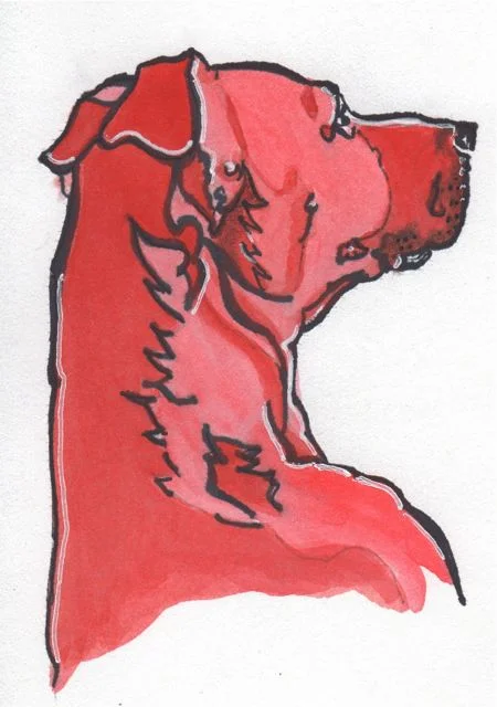 What Do You Call A Red Dog