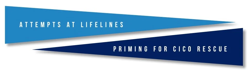 Training — The Vortex Approach