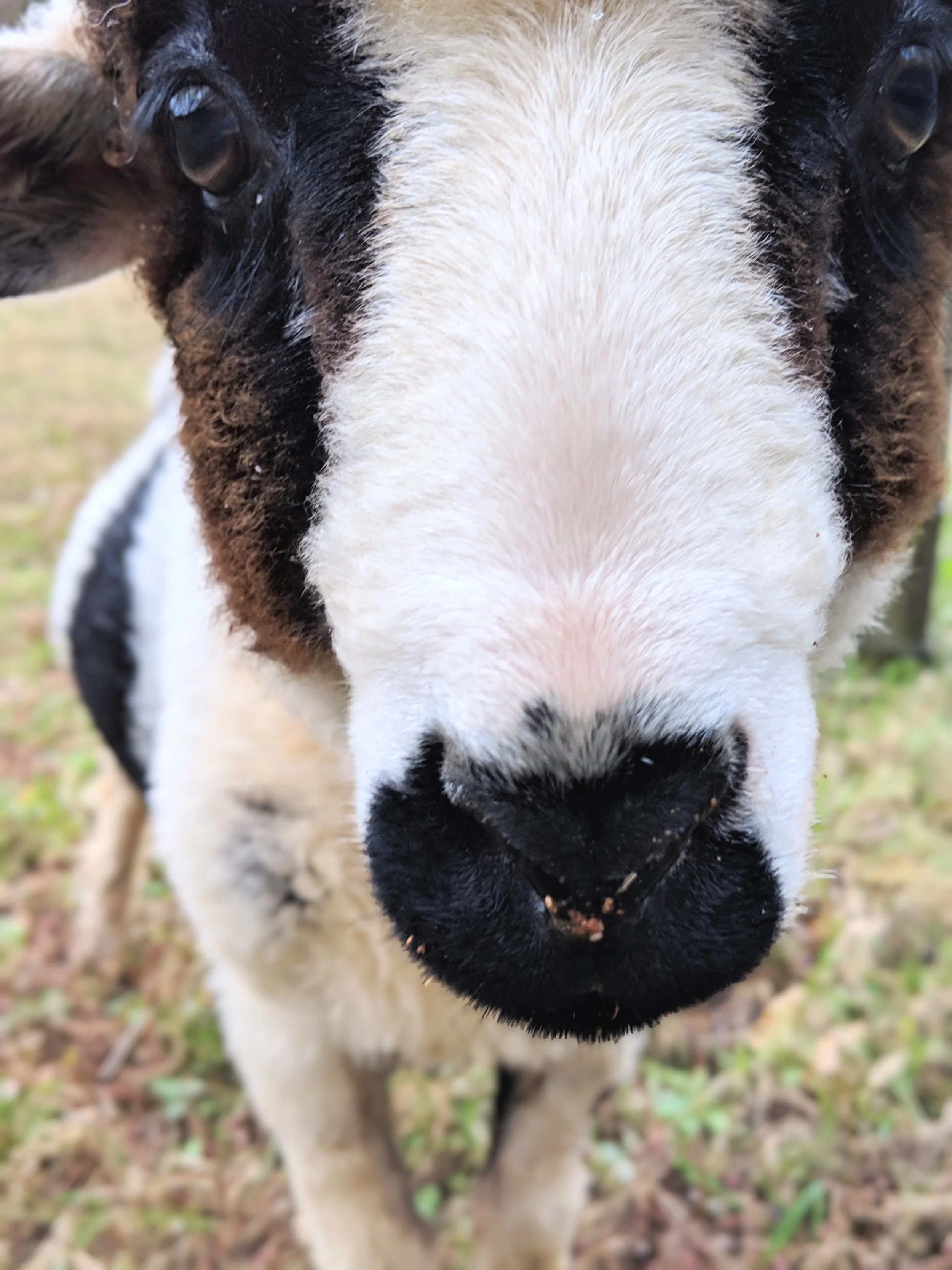 Principals, Practices & Processing — Rusted Earth