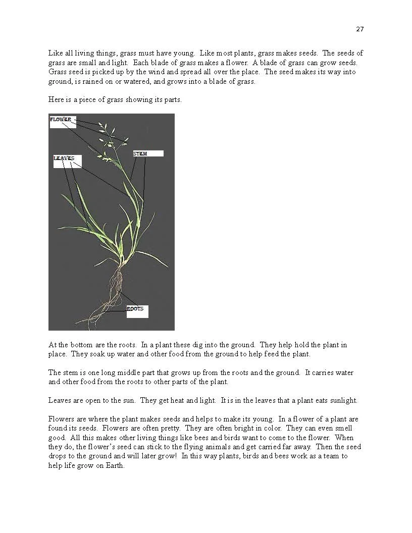 Step 1 - Science 6 - Living Things (Biology) — Steps