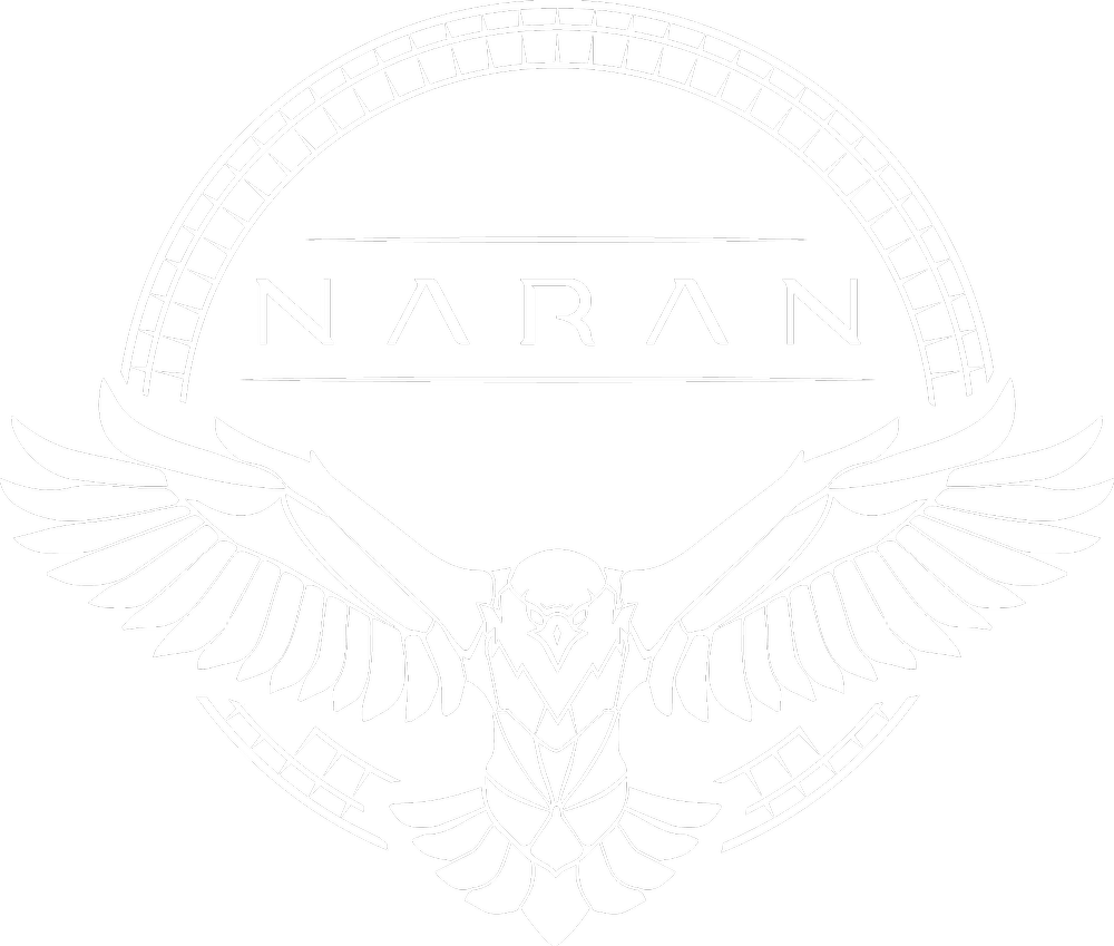 INSIDE NARAN — Naran Automotive