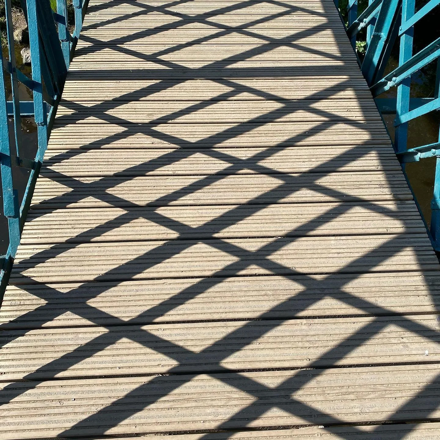 Undaunted Joy — Shemaiah Gonzalez