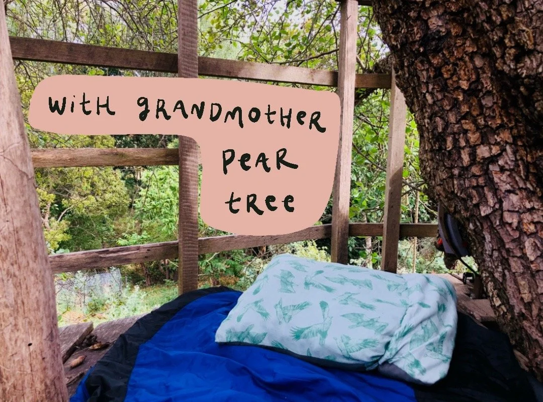 The Brief — Catie Payne