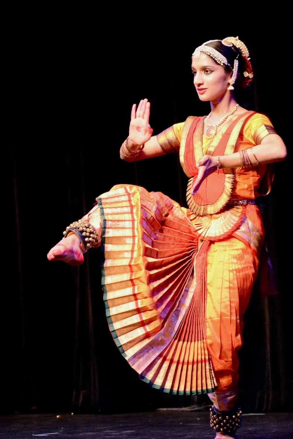 Netra Arts