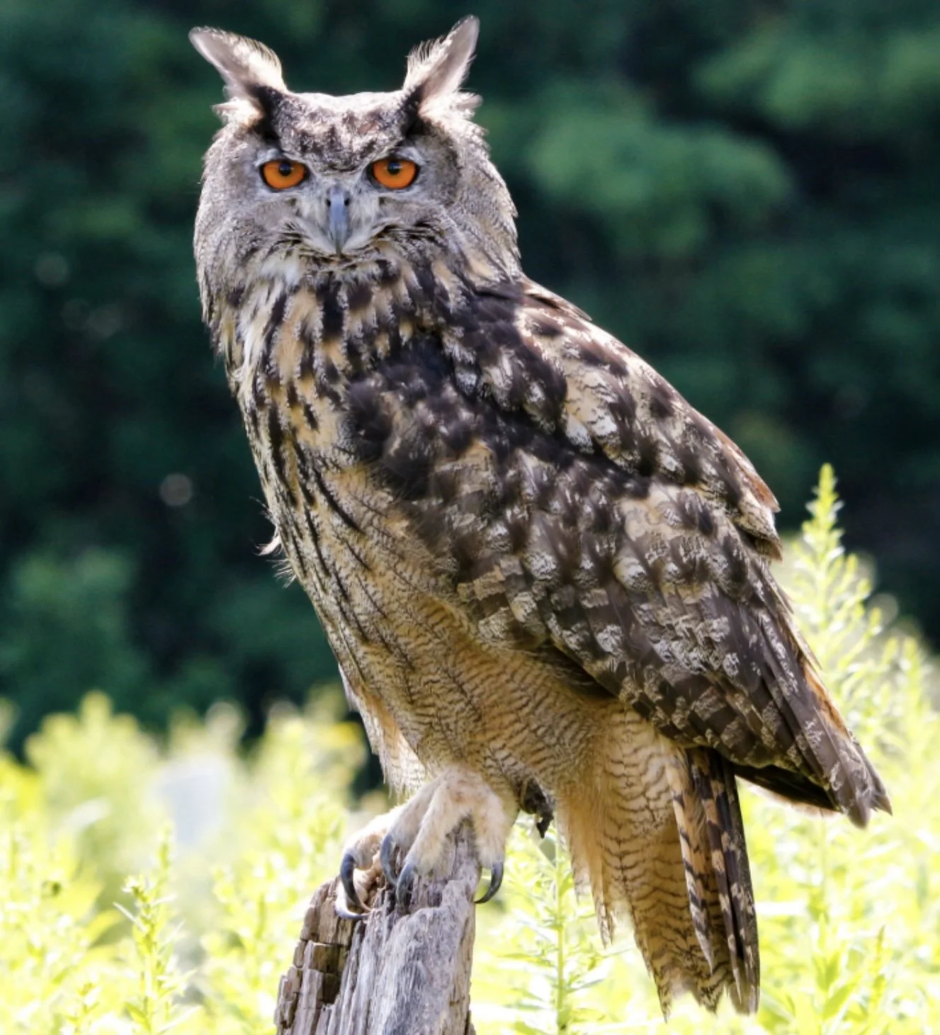 Print shop — Sophie Standing