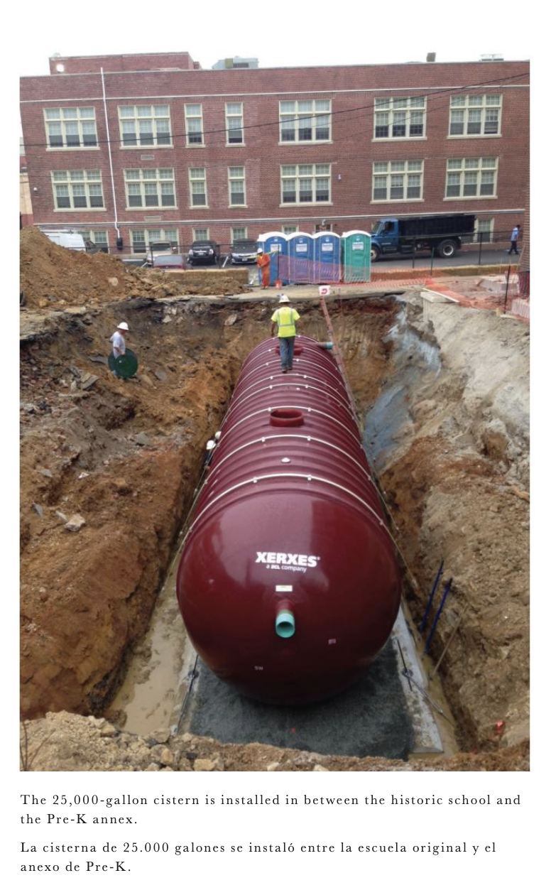 Sustainability — Mundo Verde