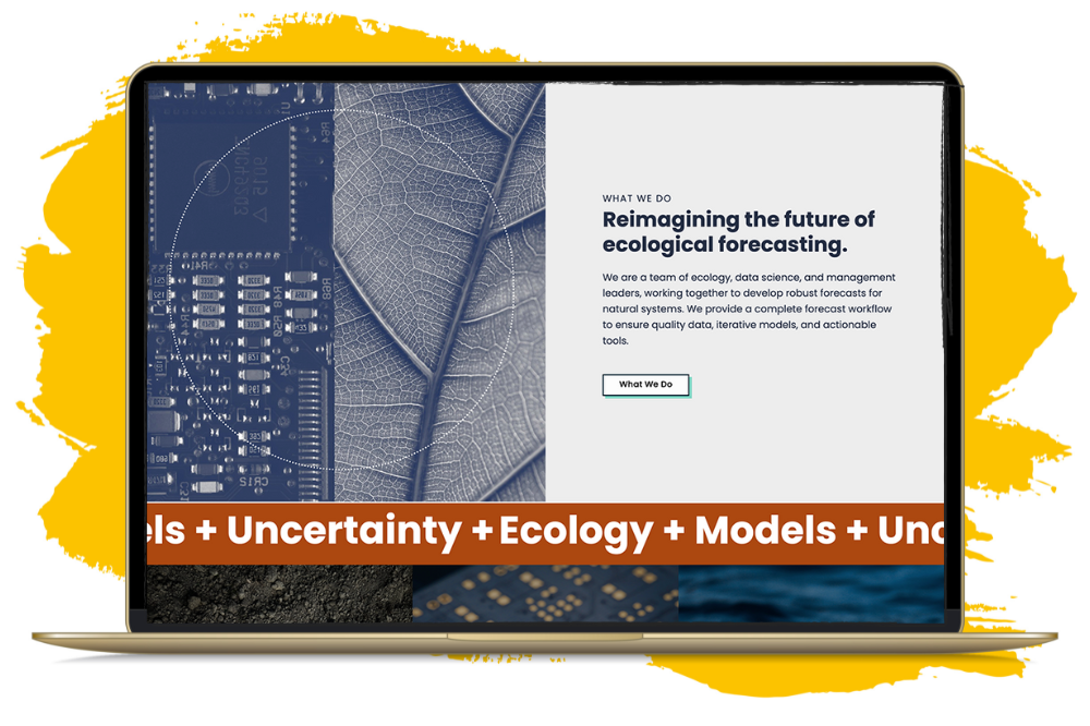 The TrEnCh Project | Website design + brand strategy + social media ...