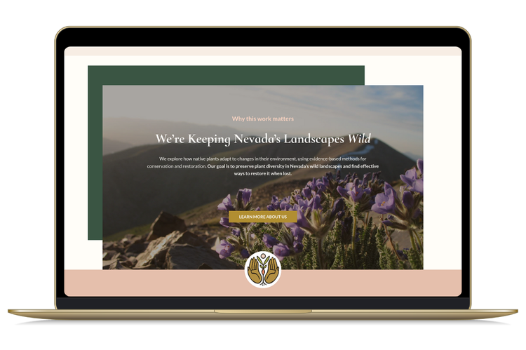 The 5 Best Research Website Design Tips and Examples — Impact Media Lab | For Bigger, Bolder Science