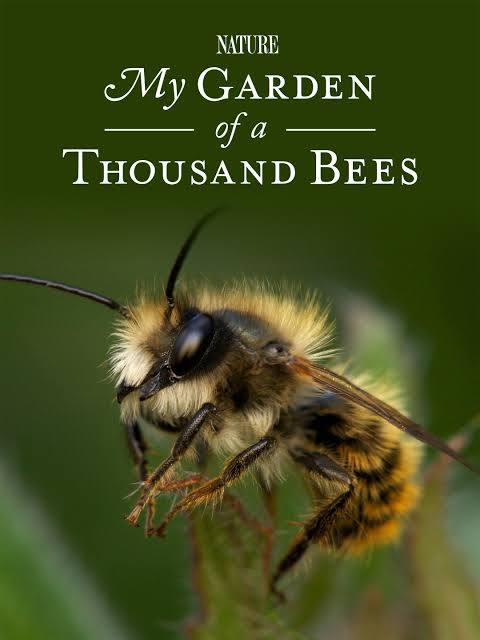 20 Nature Documentaries Every Science Filmmaker Should Study (And You ...