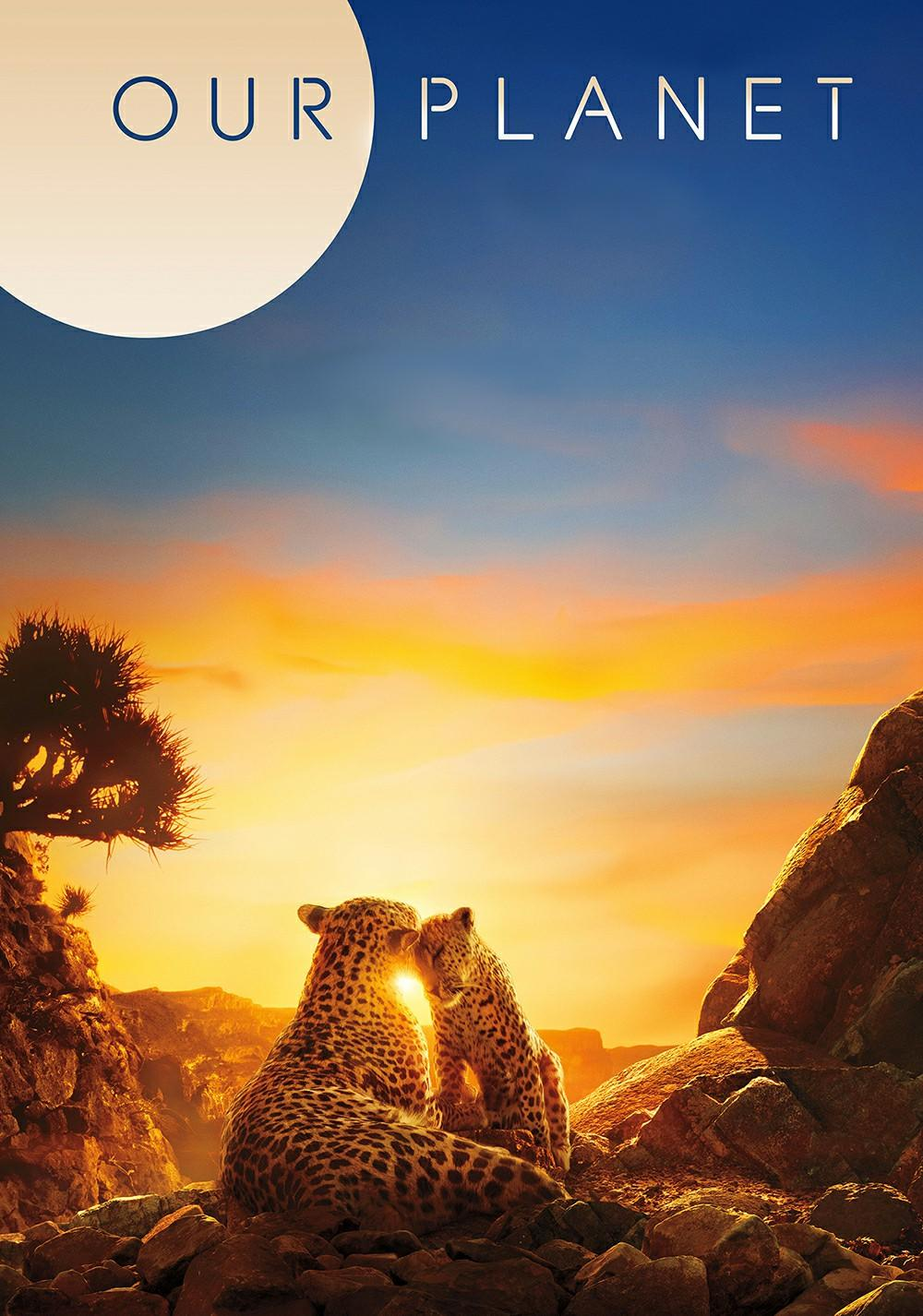 20 Nature Documentaries Every Science Filmmaker Should Study (And You ...