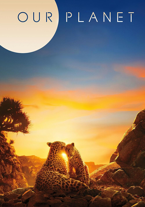 20 Nature Documentaries Every Science Filmmaker Should Study (And You ...