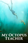 20 Nature Documentaries Every Science Filmmaker Should Study (And You ...