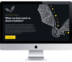 8 Best Academic Lab Websites To Inspire Your Lab Site — Impact Media ...