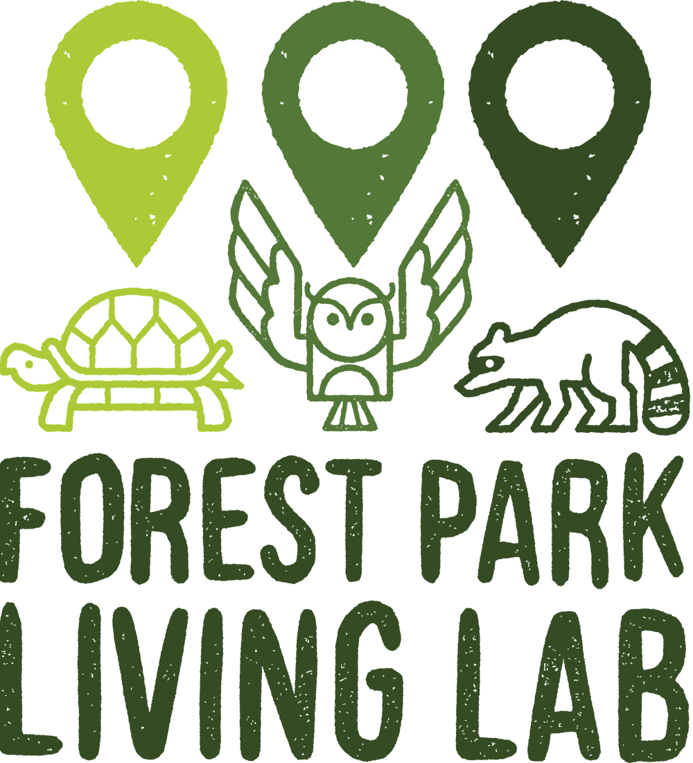 Forest Park Living Lab — Impact Media Lab | For Bigger, Bolder Science