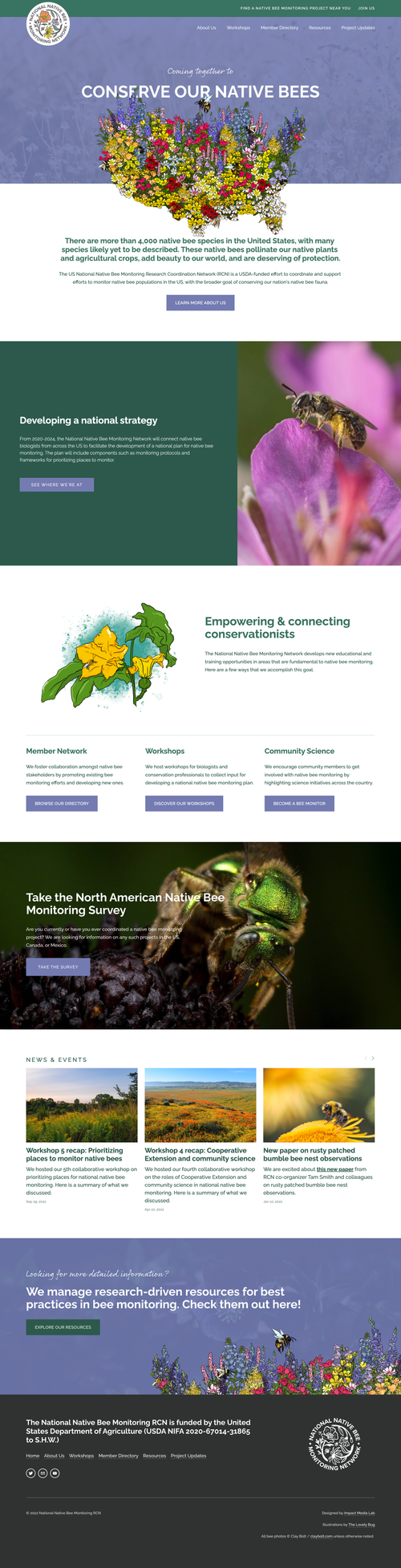 Native Bee RCN — Impact Media Lab | For Bigger, Bolder Science