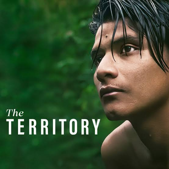 20 Nature Documentaries Every Science Filmmaker Should Study (And You ...