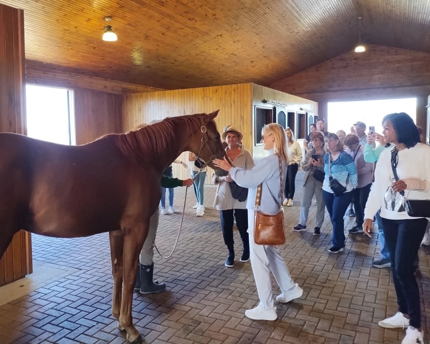 Daily Public Tours Tours – Horse Farm Tours of The Kentucky Bluegrass ...