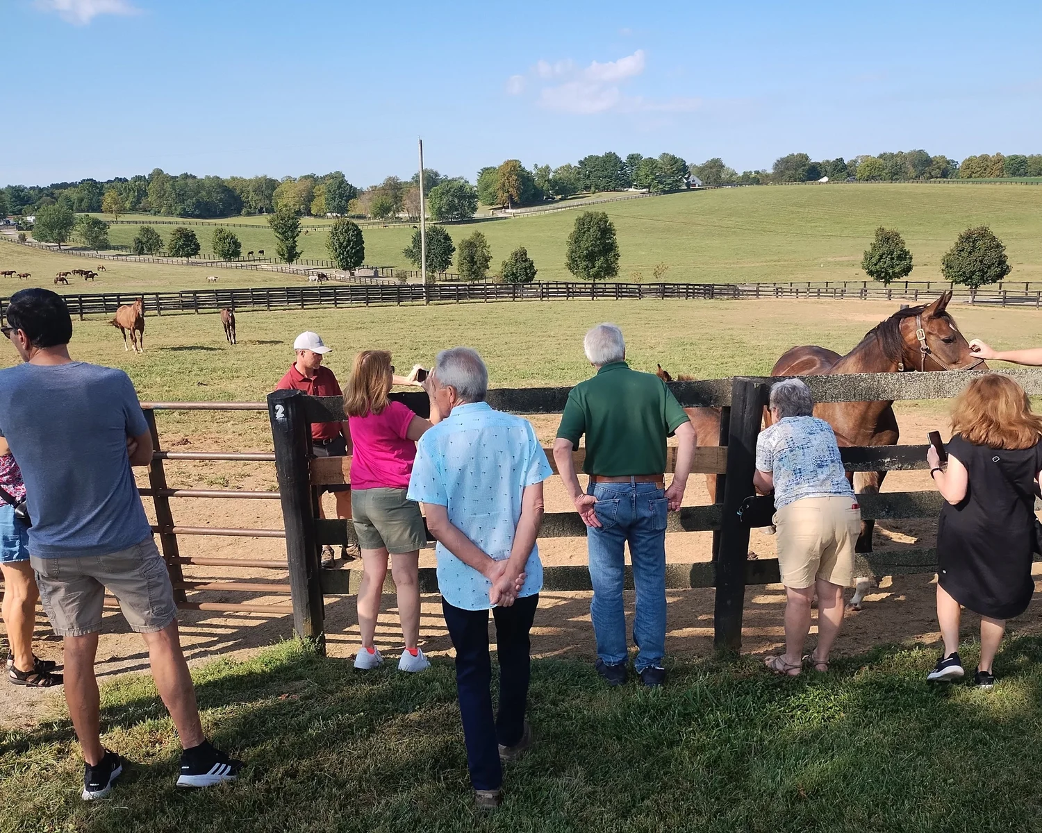 Daily Public Tours Tours – Horse Farm Tours of The Kentucky Bluegrass ...