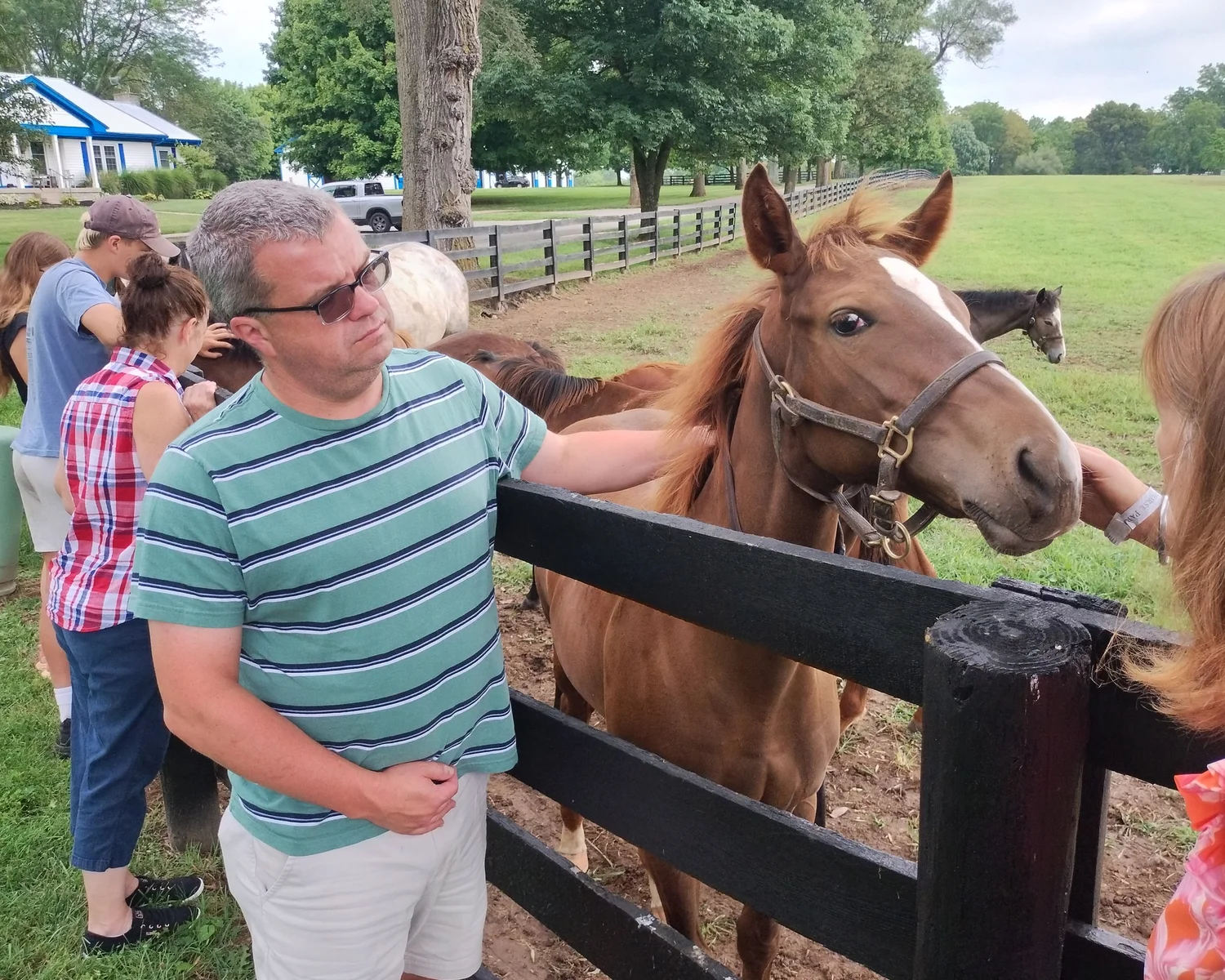 Daily Public Tours Tours – Horse Farm Tours of The Kentucky Bluegrass ...
